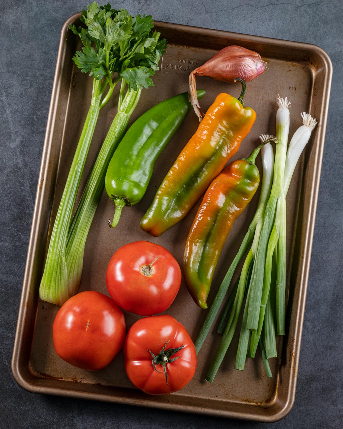 Fire Roasted Santa Maria Salsa - Chiles and Smoke